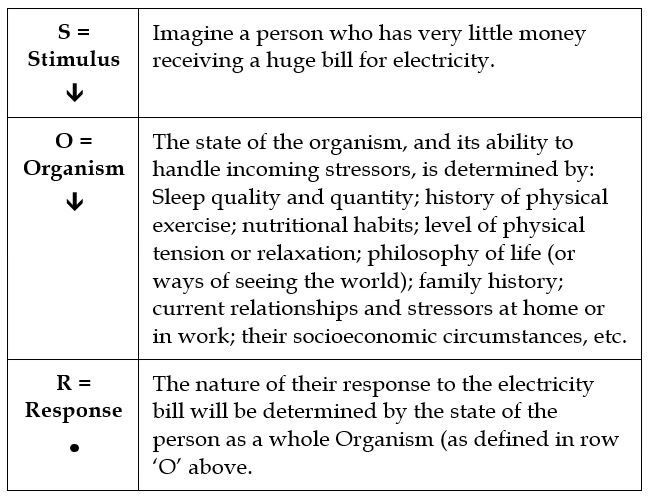 Understanding human behaviour: From the Classic to the Holistic SOR ...